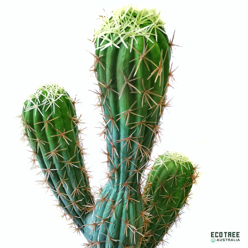 Premium Artificial Aloha Desert Cactus - 80cm – ECOTREE AU - Premium ...