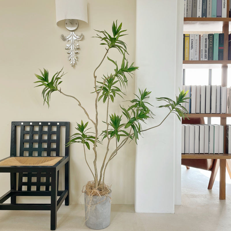 Lifelike Elegant Artificial Dracaena Reflexa (Song of Jamaica) Multi ...