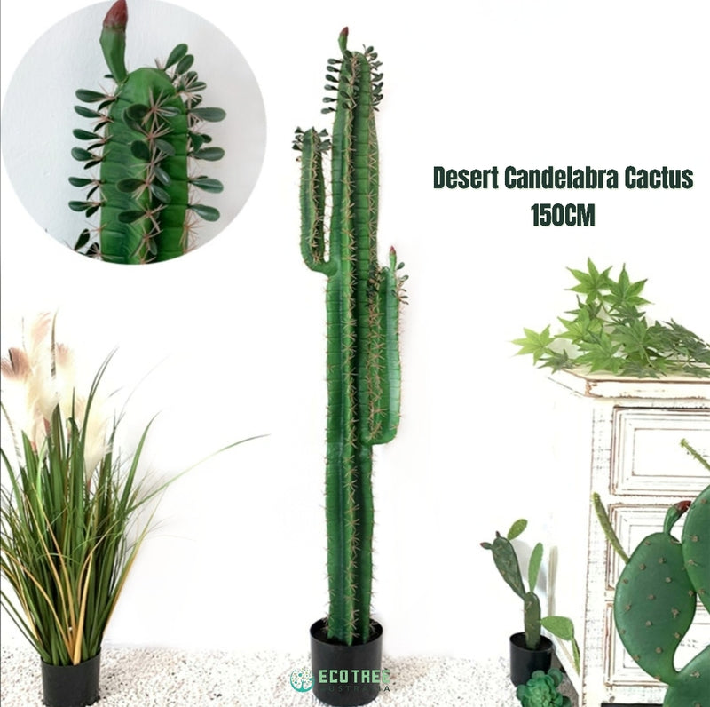 Premium Artificial Desert Candelabra Cactus-3 Size – ECOTREE AU ...