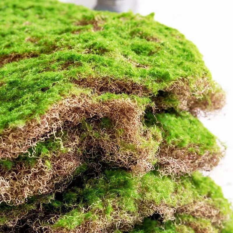 Evergreen Moss·Lifelike Artificial Bryophytes Moss Grass Mat· Interior ...