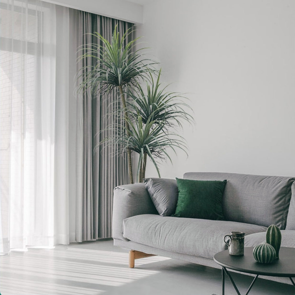 Lifelike Artificial Giant Beaked Yucca/Grass Tree - 3 Trunks 210cm ...